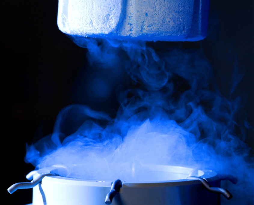 Gefriersamen / TG-Samen • HENGST- UND DECKSTATION STEINSBERG